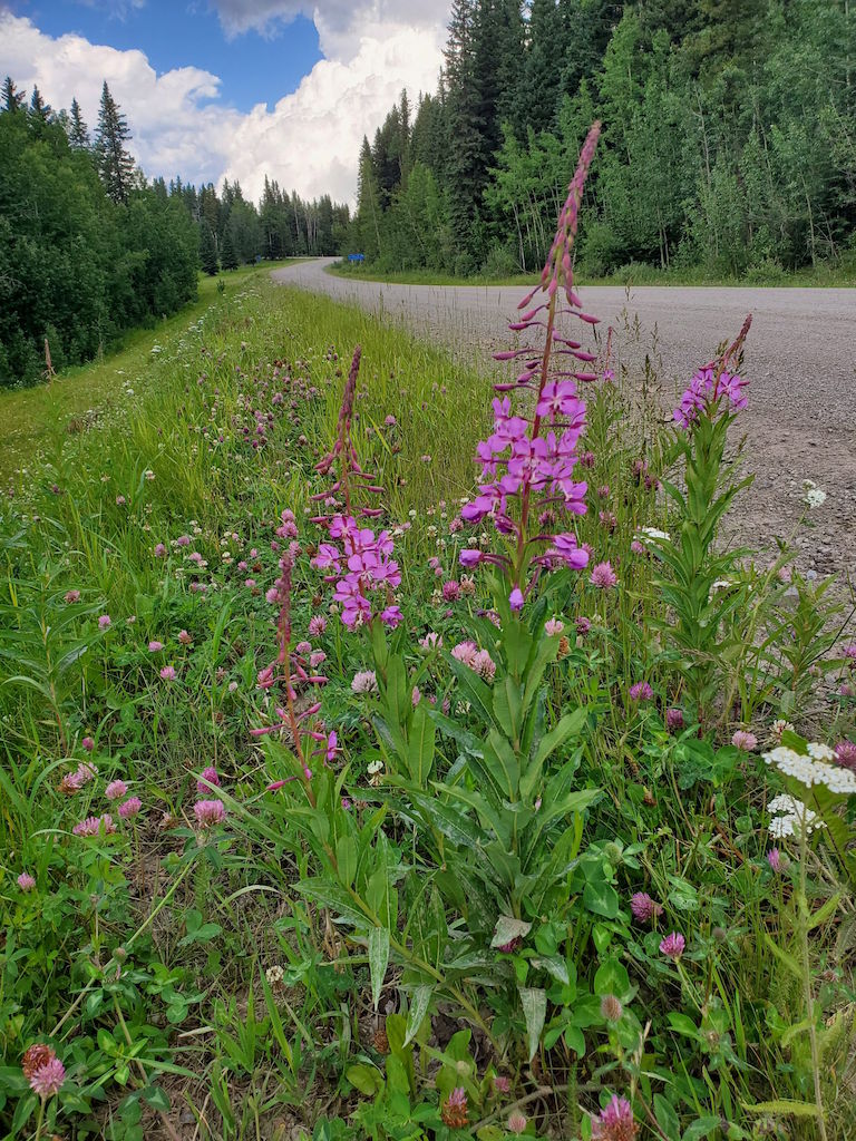 My dad passed away | blog.kronis.dev